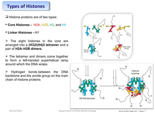 Histone Modification
