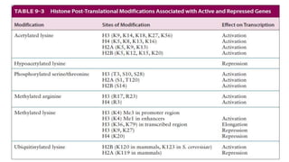 Histone Modification Table