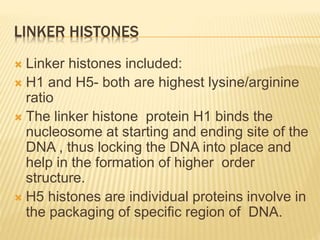Histone modifications | PPTX