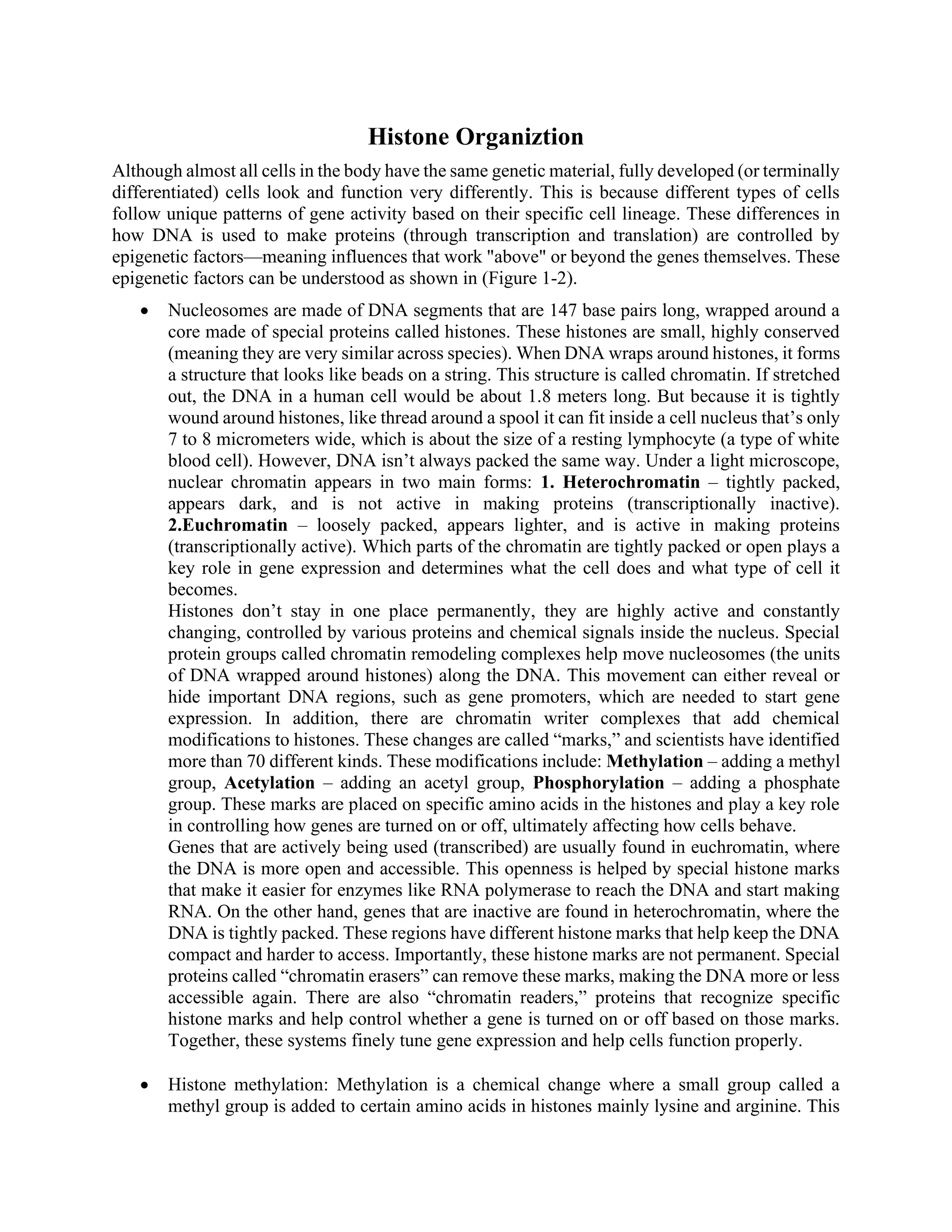 Histone Organization, Describe in details.pdf
