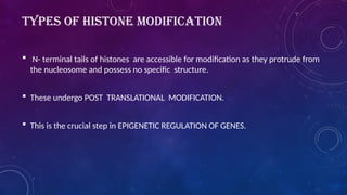 presentation on Histones and its functions | PPTX