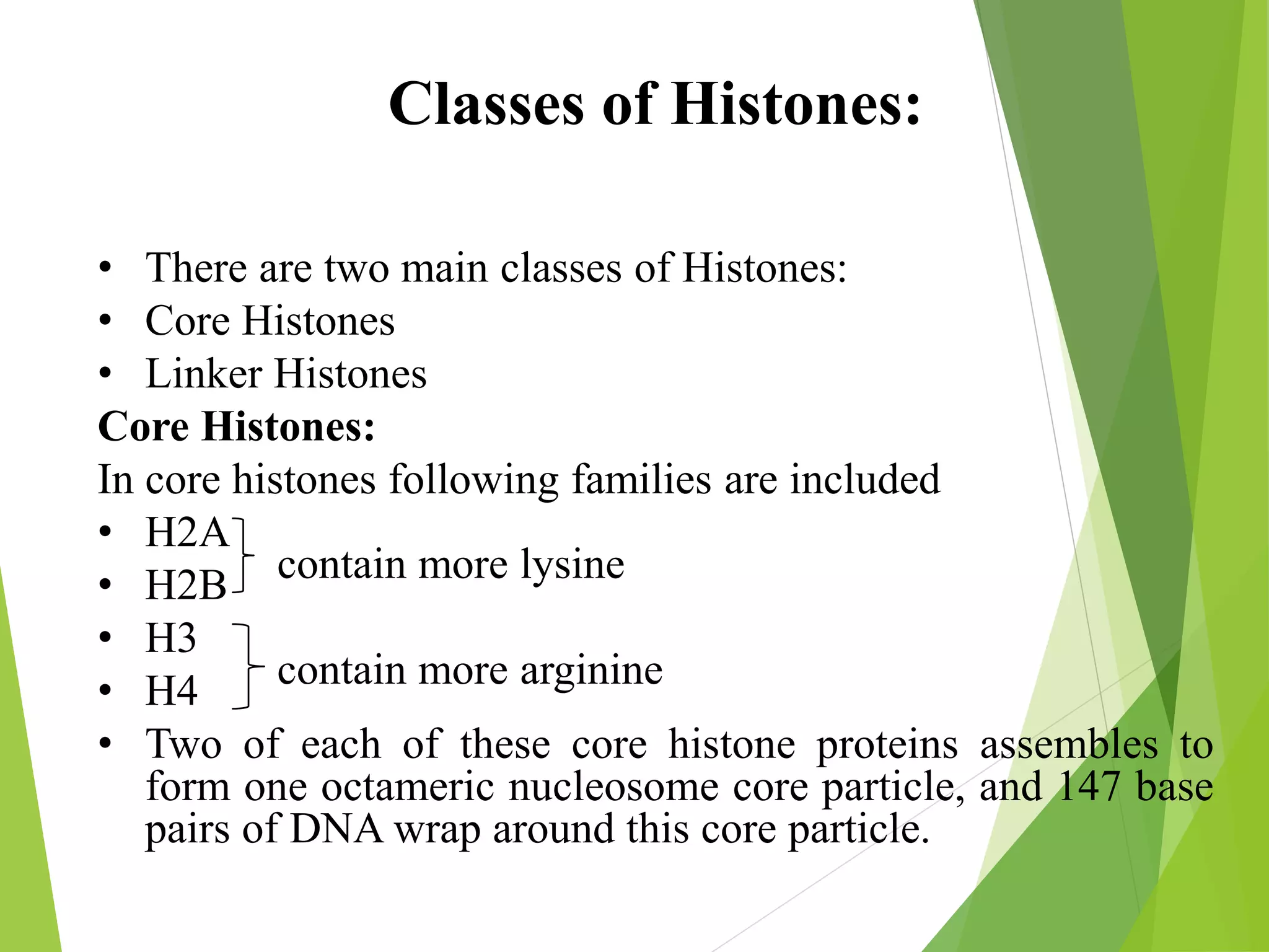 Histone protein | PPTX