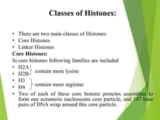 Histone protein | PPTX