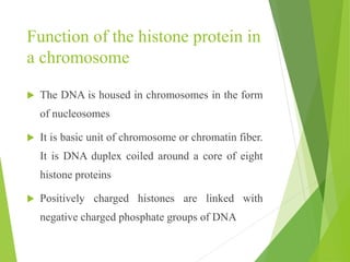 Histone protein | PPTX