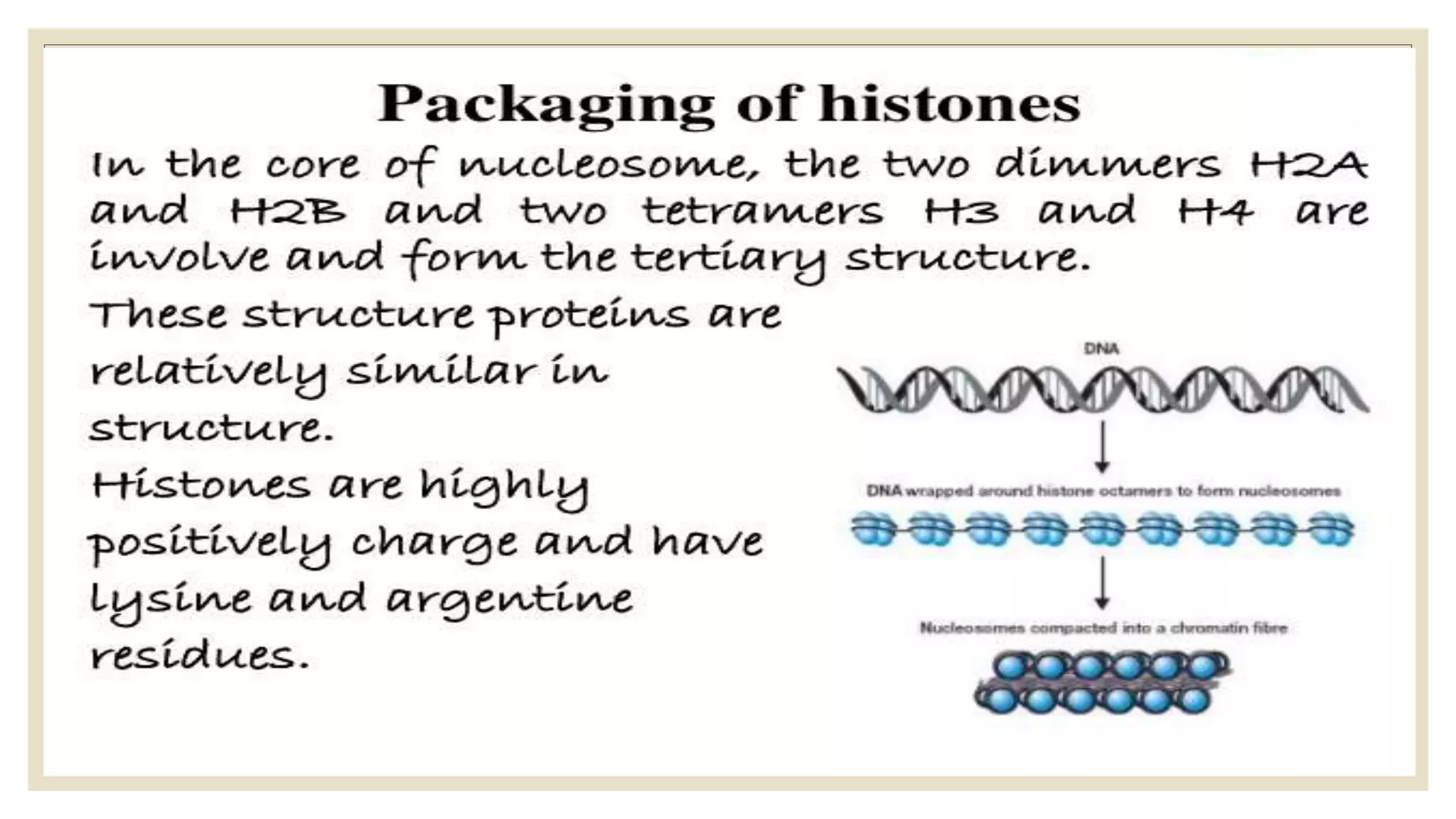 Histones | PPTX