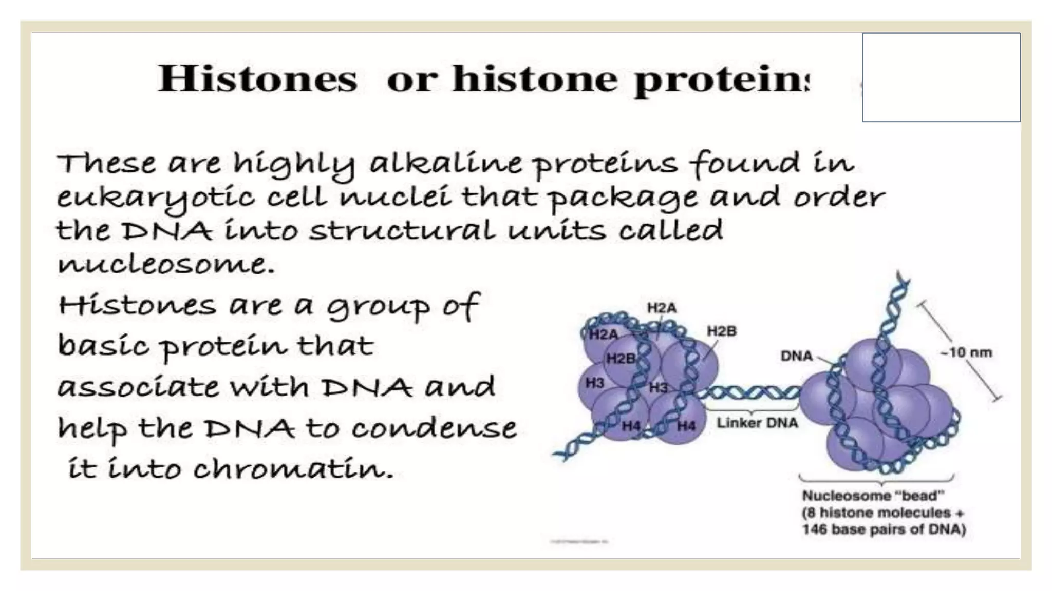 Histones | PPTX