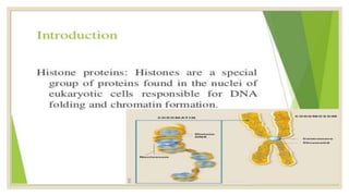 Histones | PPTX