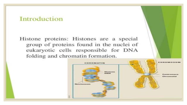 Histones | PPTX