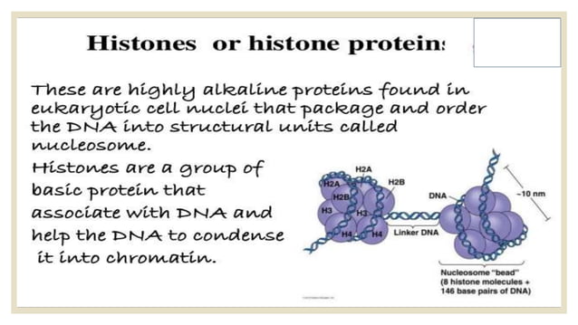 Histones | PPTX