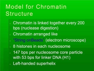 chromosome and genetics | PPTX | Genetics | Science