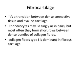 Histology lecture ..Cartilage tissue.pptx