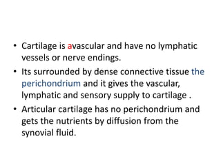Histology lecture ..Cartilage tissue.pptx