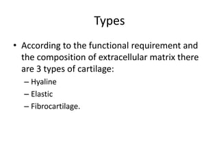 Histology lecture ..Cartilage tissue.pptx
