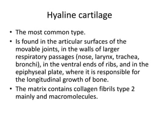 Histology lecture ..Cartilage tissue.pptx
