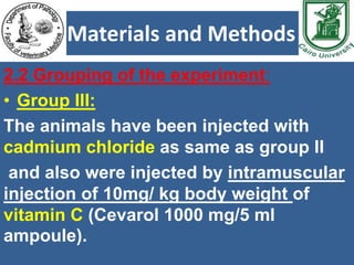 Histopathological and immunohistochemical studies on the tongue of ...