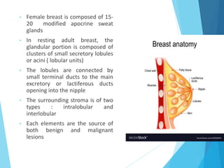 Histopathological Interpretation of Breast Cancer.pptx