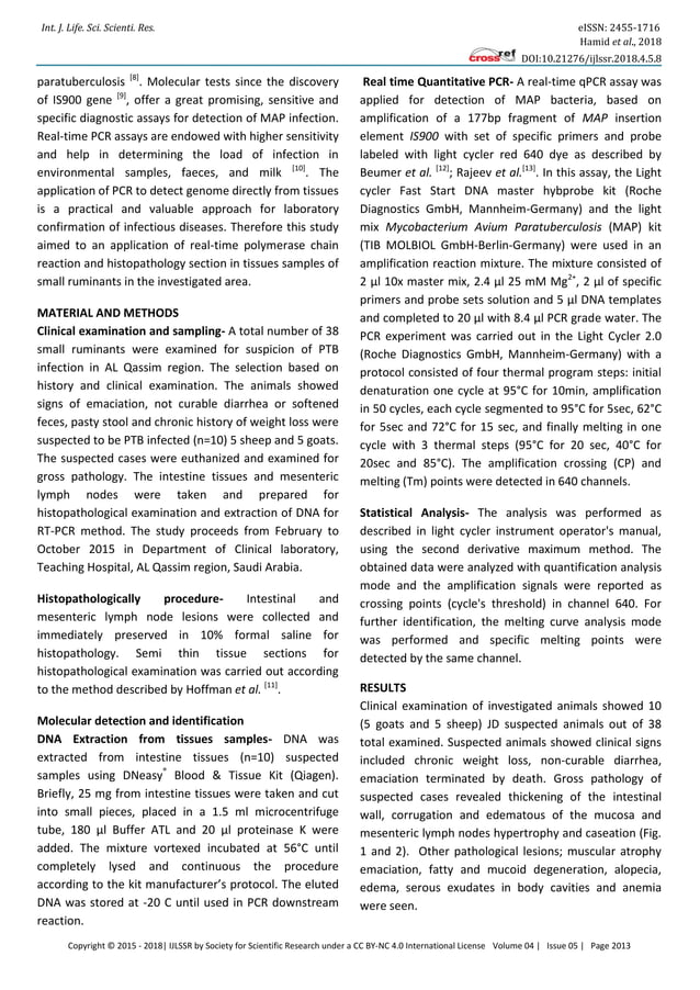 Histopathological And Rt Pcr Detection Of Mycobacterium
