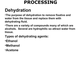 Histopathological technique | PPT