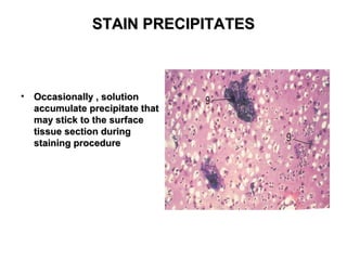Histopathological technique | PPT