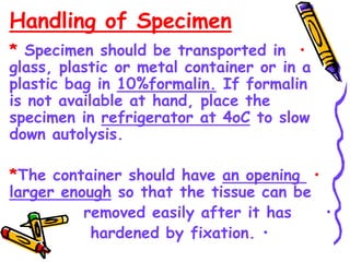 histopathological_techniques.ppt