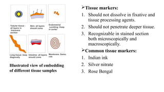 Histopathological techniques on processing - I.pptx