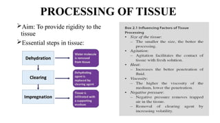 Histopathological techniques on processing - I.pptx