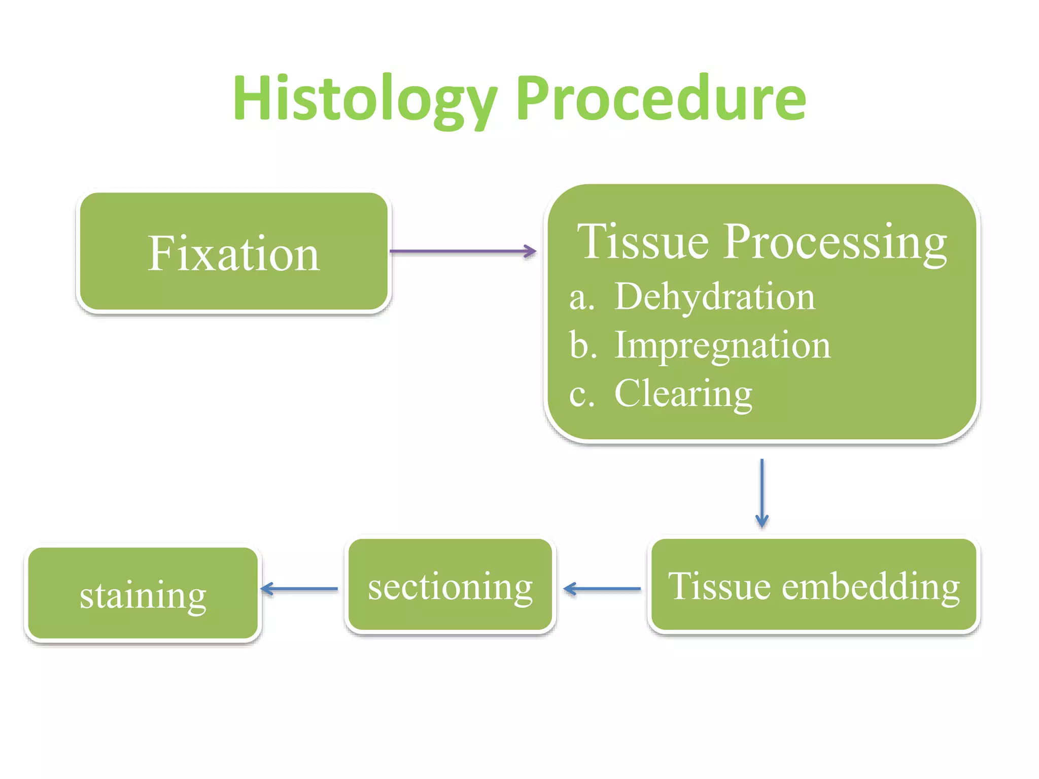 Histopathology | PPTX