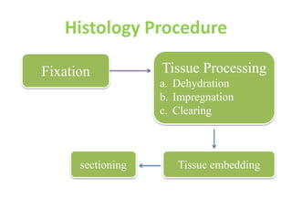 Histopathology | PPTX