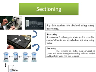 Histopathology | PPTX