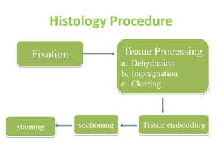 Histopathology | PPTX