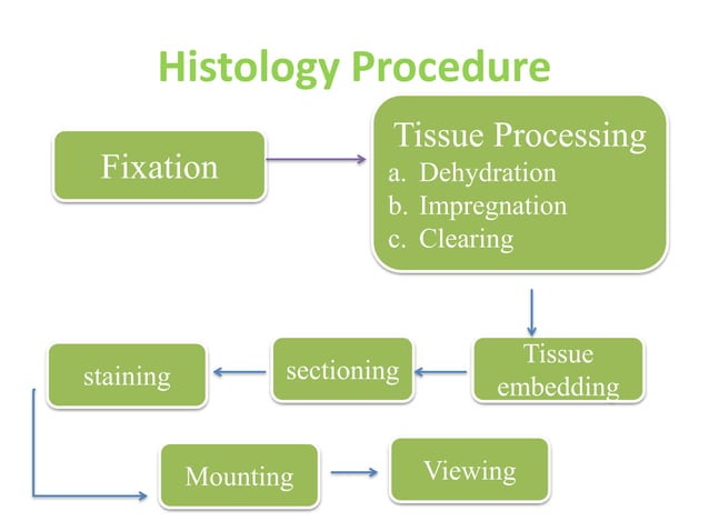 Histopathology | PPTX | Chemistry | Science