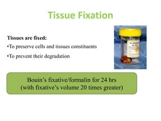 Histopathology | PPTX