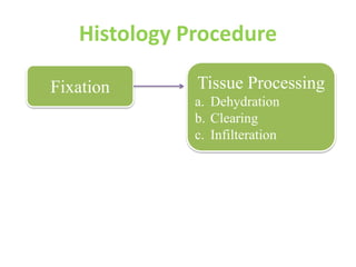 Histopathology | PPTX
