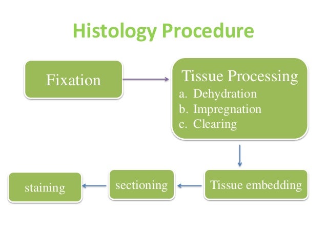 Histopathology