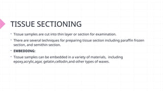 Clinical Laboratory Technology-Histopathology | PPT