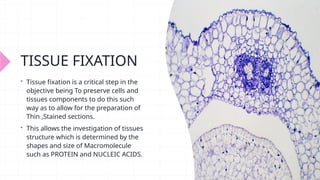 Clinical Laboratory Technology-Histopathology | PPTX | Biological ...