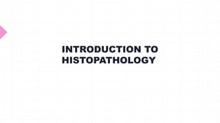 Clinical Laboratory Technology-Histopathology | PPTX | Biological ...