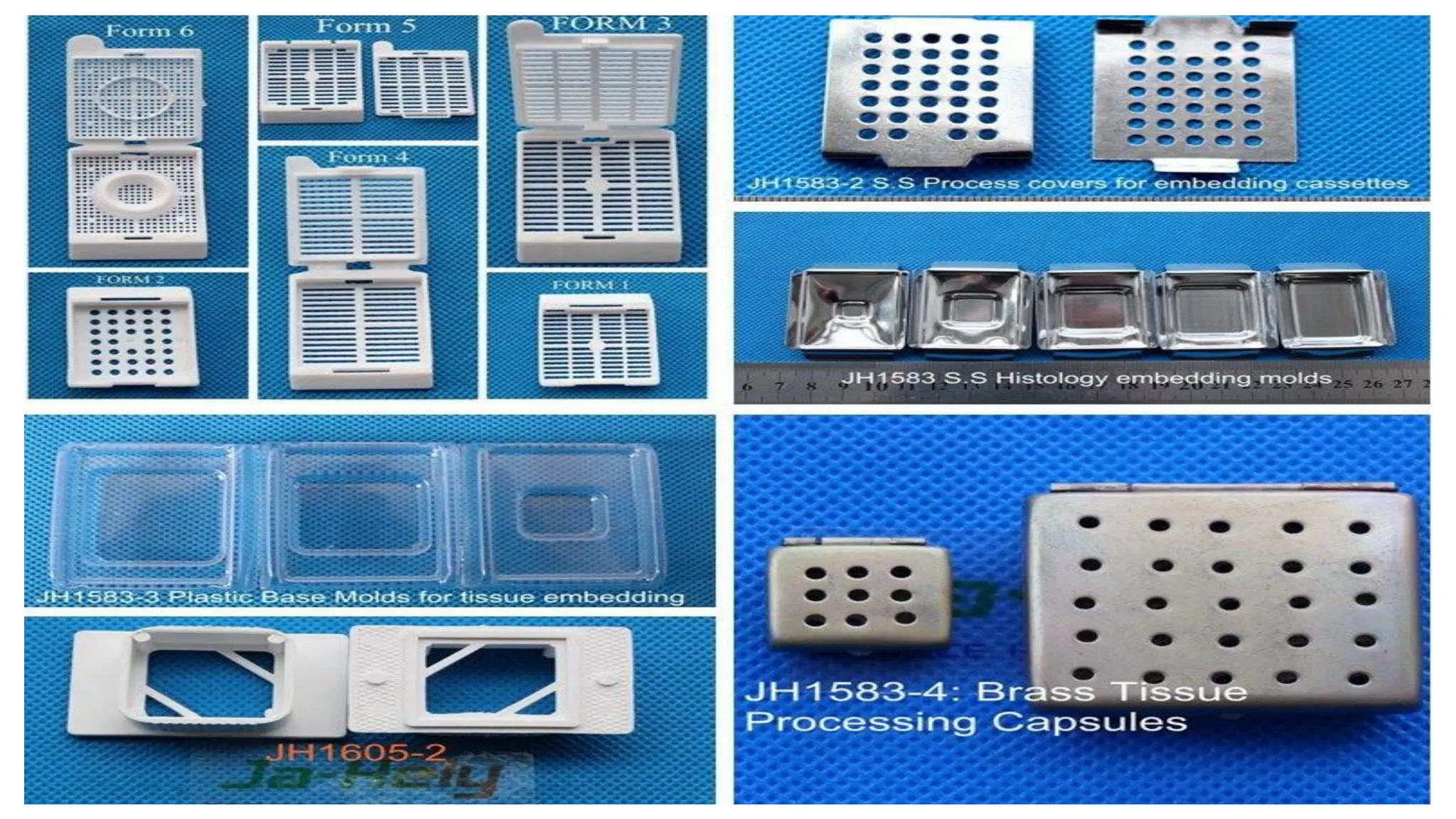 HistoPathology Ppt. Arshita Gupta for Diploma | PDF