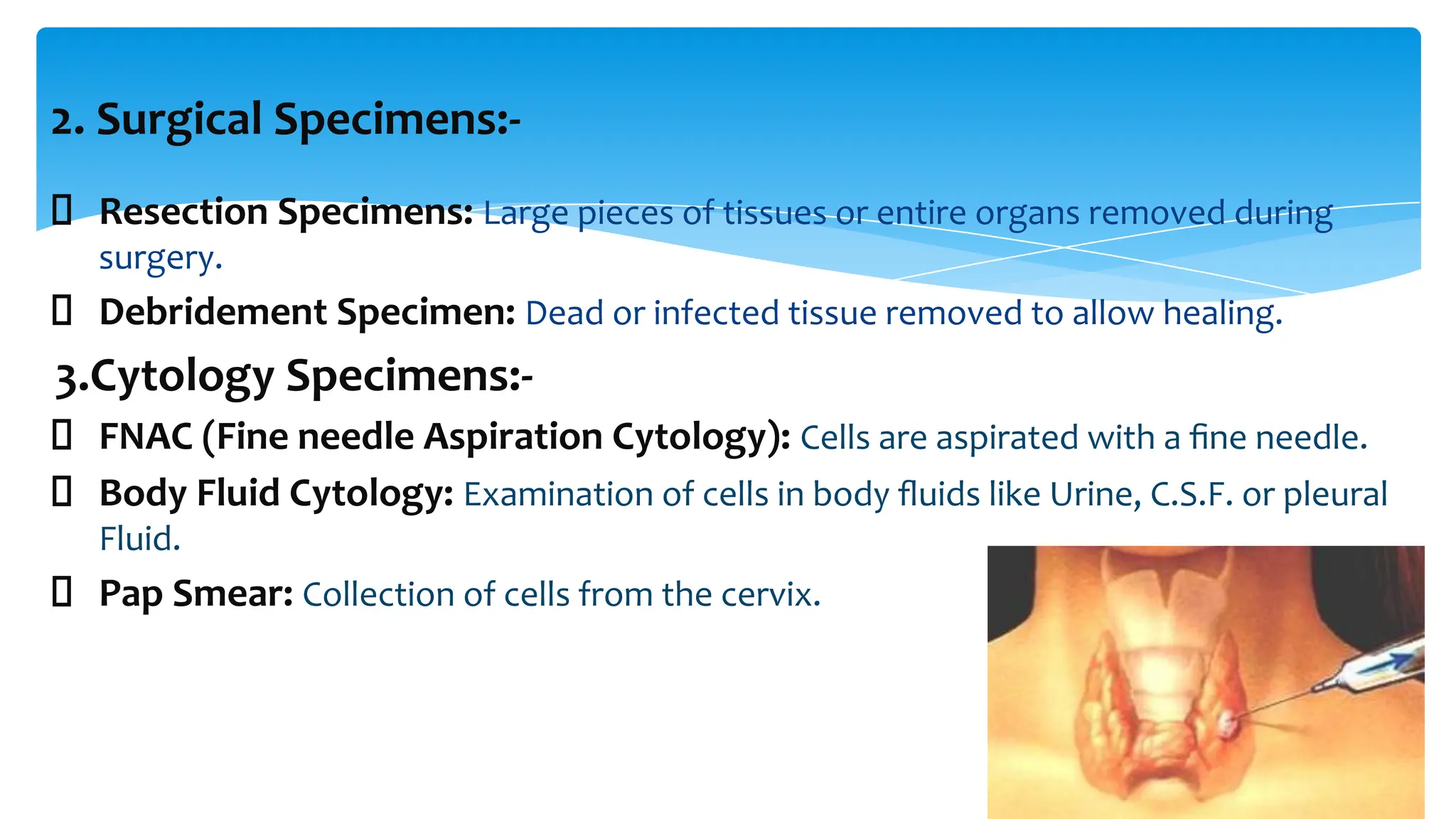 HistoPathology Ppt. Arshita Gupta for Diploma | PDF