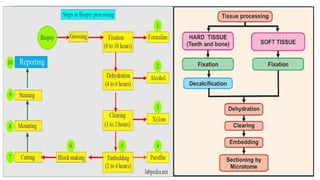 HistoPathology Ppt. Arshita Gupta for Diploma | PDF