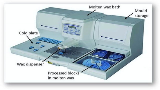 HistoPathology Ppt. Arshita Gupta for Diploma | PDF
