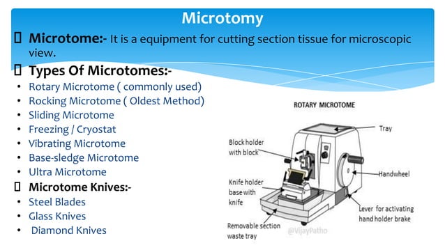HistoPathology Ppt. Arshita Gupta for Diploma | PDF