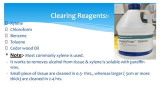 HistoPathology pdf.. Arshita Gupta lab technician | PDF