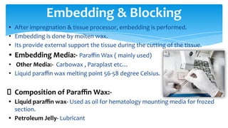 HistoPathology pdf.. Arshita Gupta lab technician | PDF