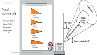 HistoPathology pdf.. Arshita Gupta lab technician | PDF