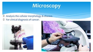 HistoPathology pdf.. Arshita Gupta lab technician | PDF