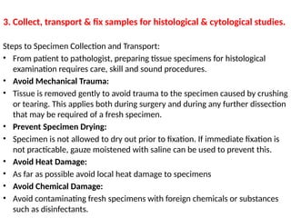 Histopathology and Cytopathology (Practical) part 1st | PPTX