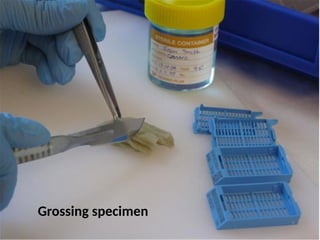 Histopathology and Cytopathology (Practical) part 1st | PPTX
