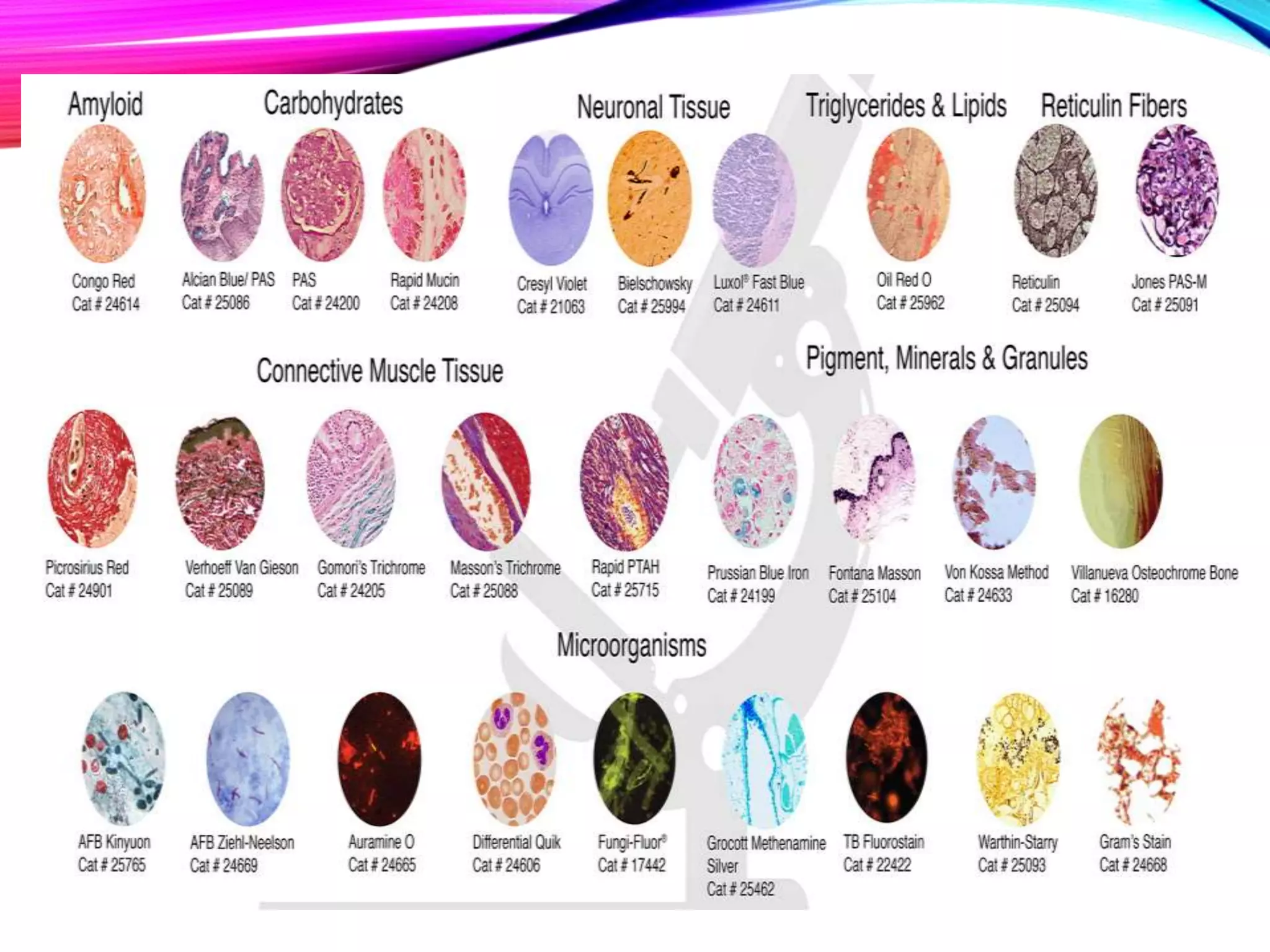 Histopathology Procedures | PPTX