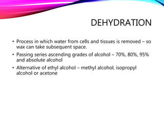 Histopathology Procedures | PPTX